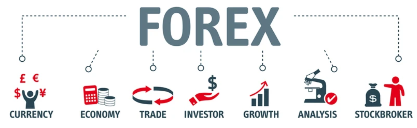 SEO Strategies for Forex Trading Companies in 2025: a Guide