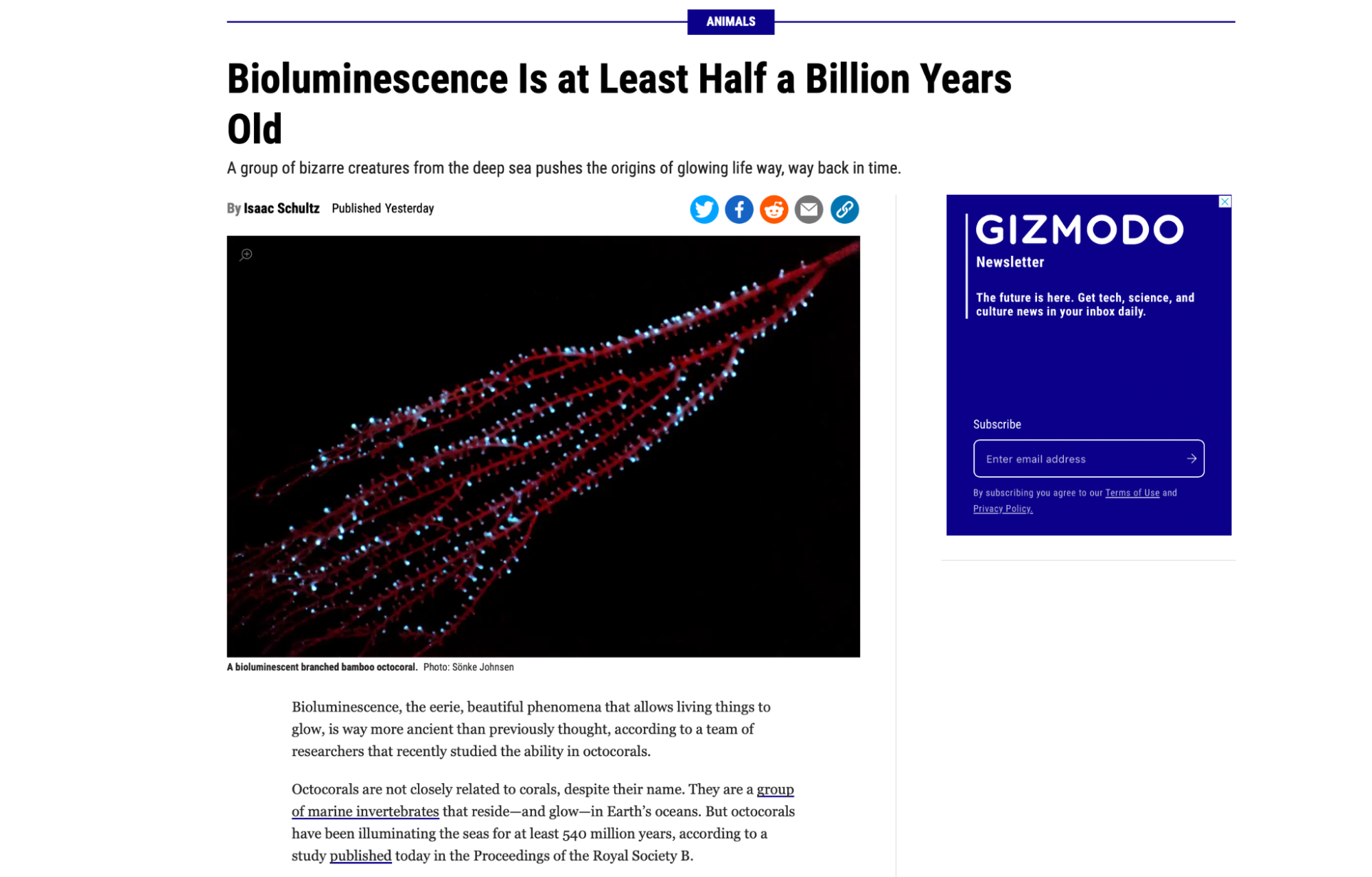 Automate Link Building: Practical Guide