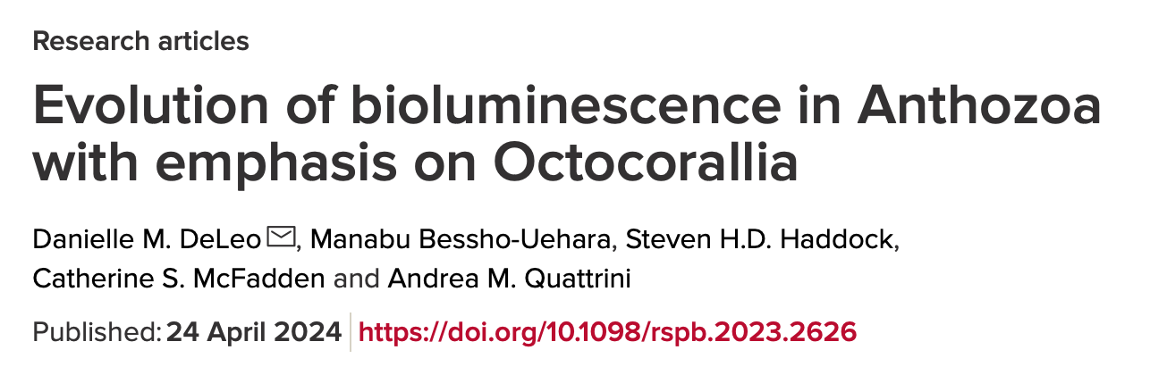 Automate Link Building: Practical Guide