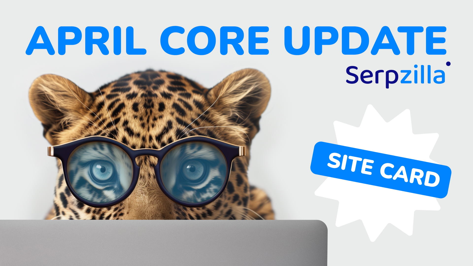 Donor site cards have been released in Serpzilla — choose the perfect ...